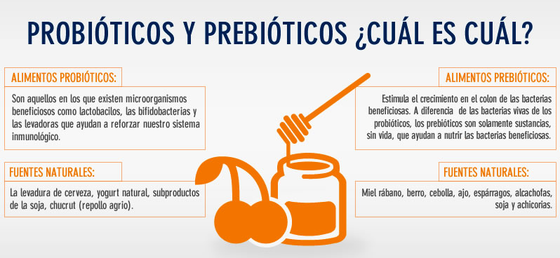 ¿Qué son y qué propiedades tienen los Probióticos y Prebióticos ... ¿Qué son y qué propiedades tienen los Probióticos y Prebióticos ...